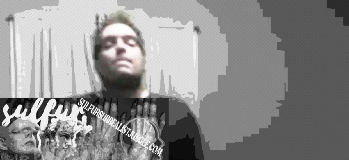 Metempsychotica / John Thomas Allen – SULFUR EDITIONS