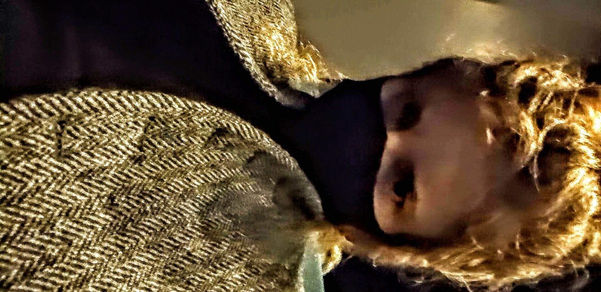 5 new Poems by Giorgia Pavlidou – SULFUR EDITIONS